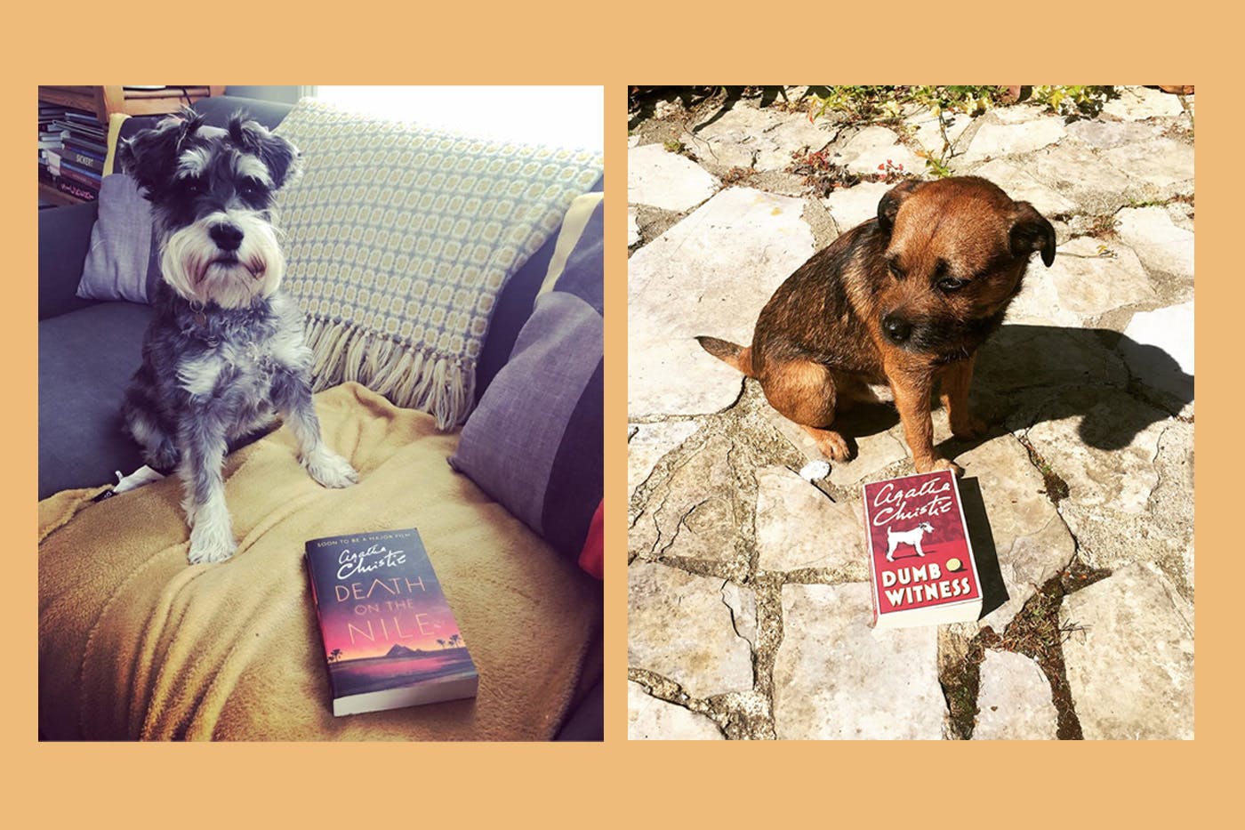 Agatha Christie: For the Love of Dogs - Agatha Christie